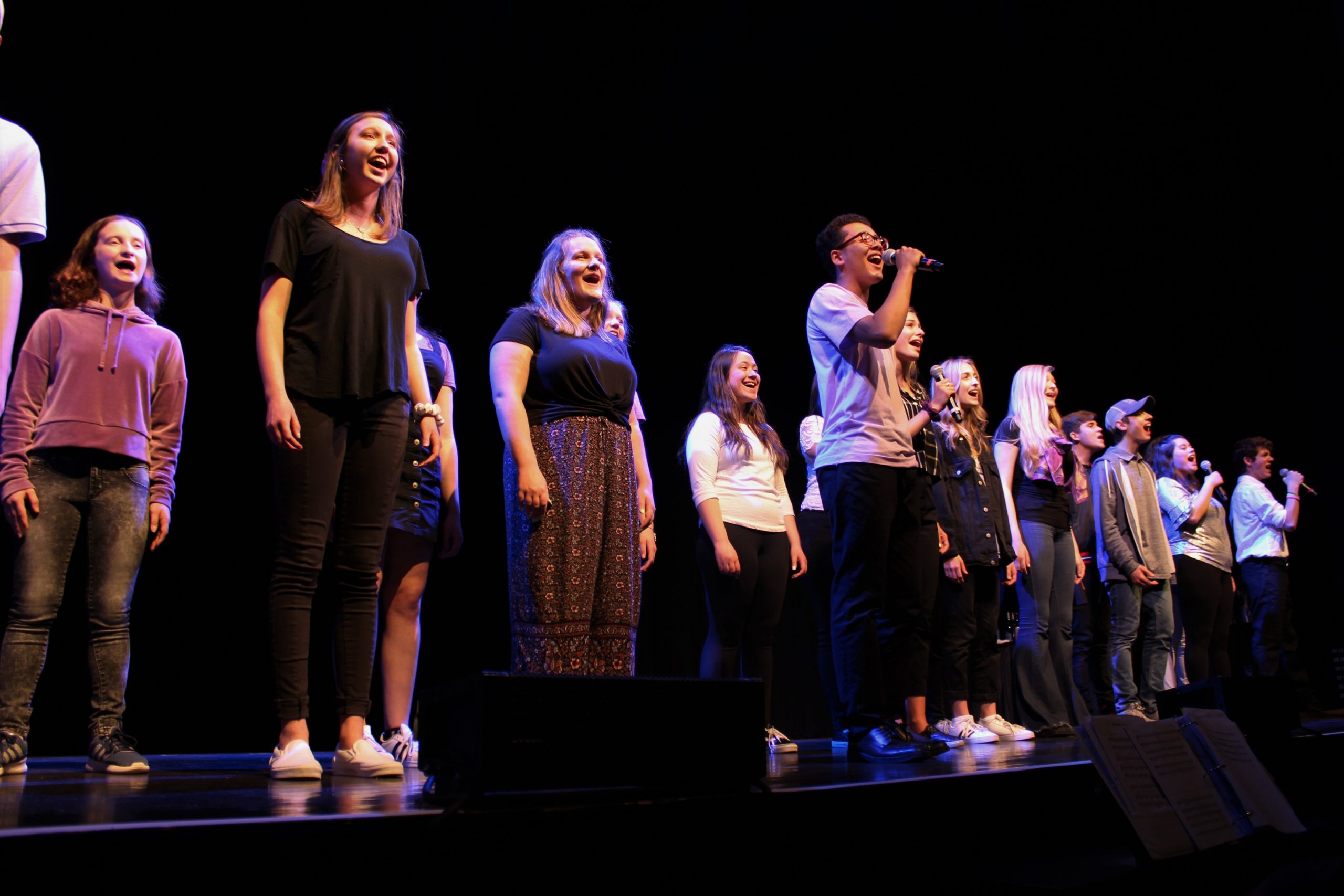 Performing Arts Company - Mayo Performing Arts Center