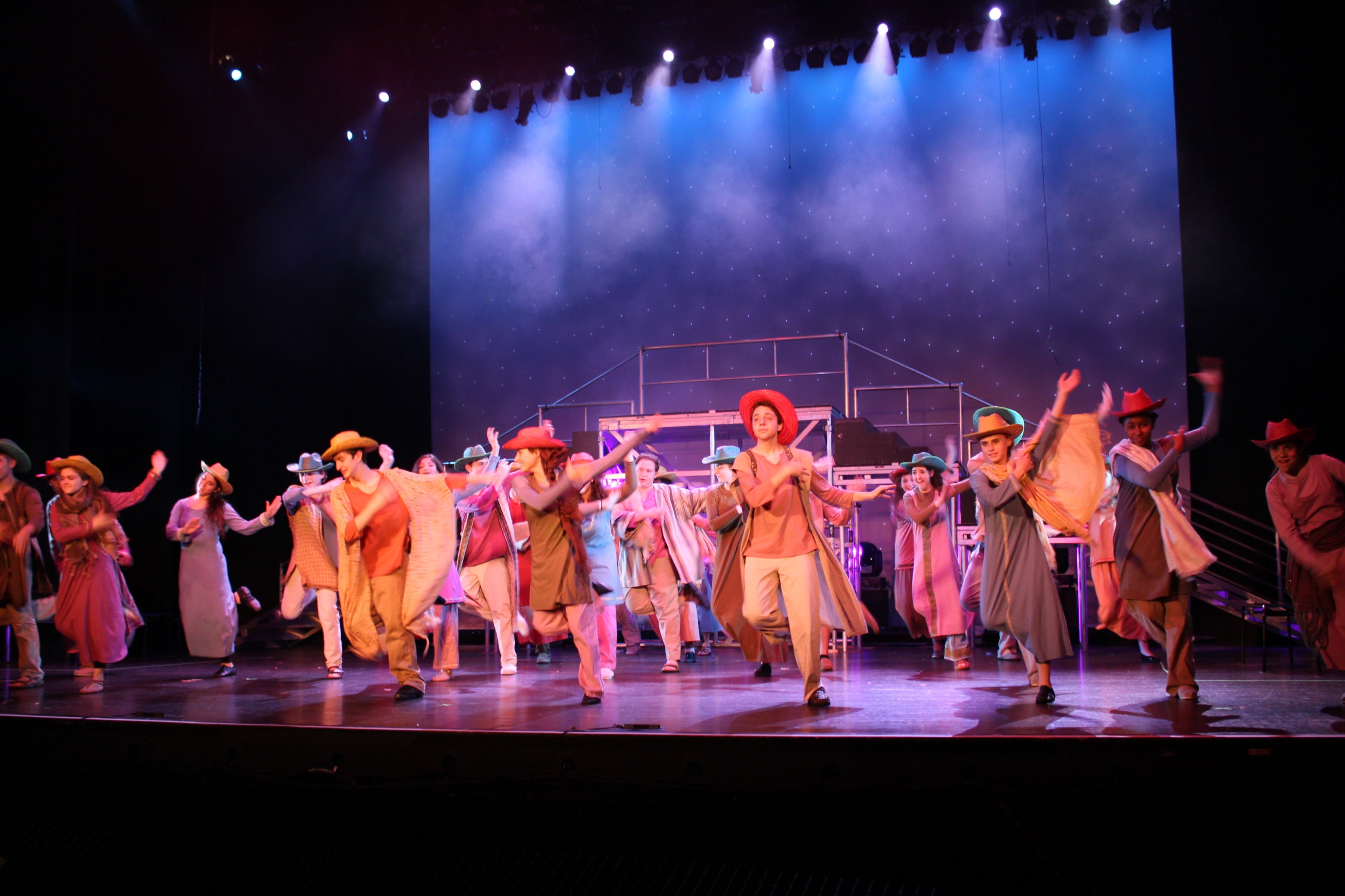 Spring Musical | Mayo Performing Arts Center