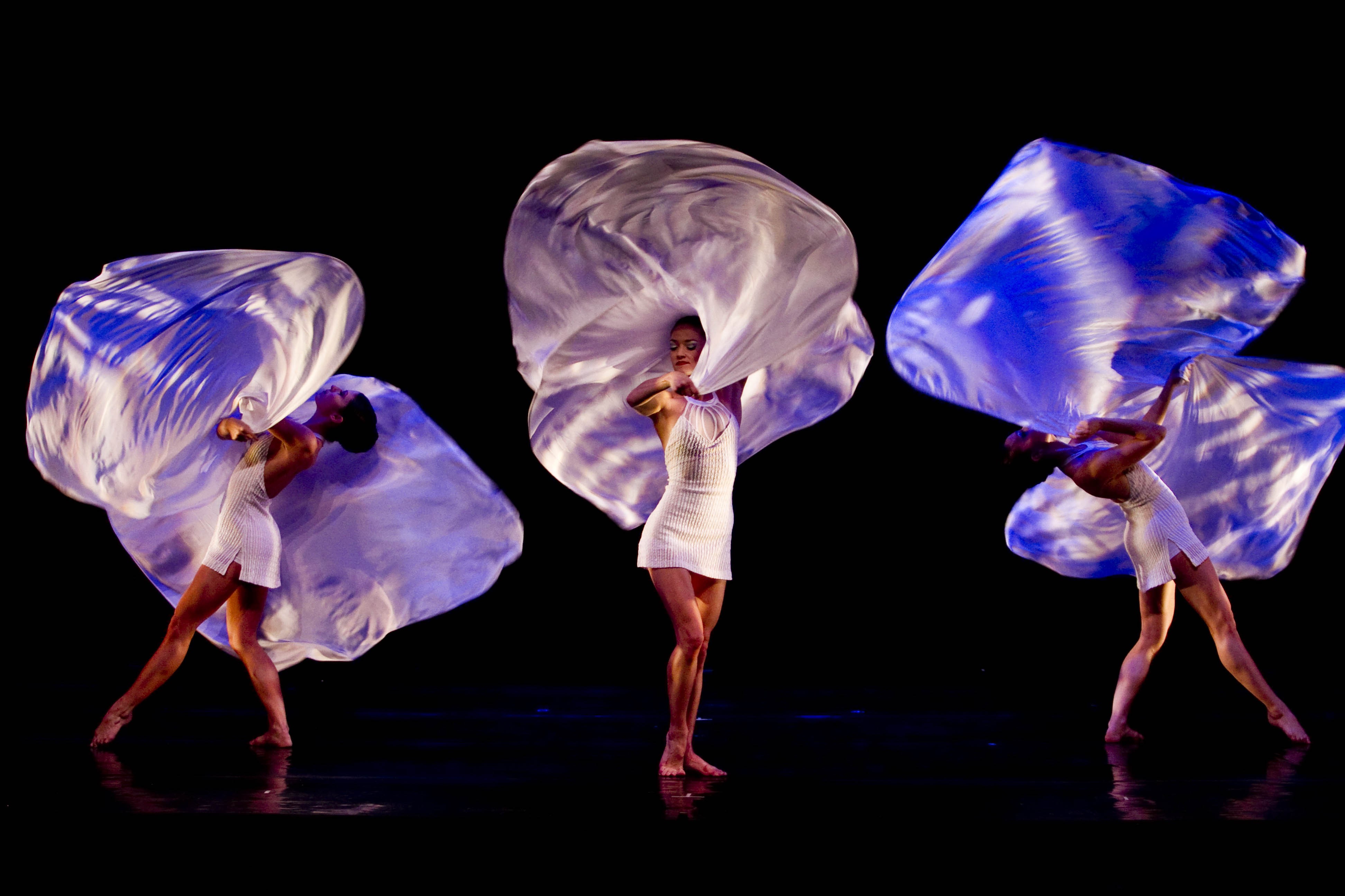 Viva MOMIX | Mayo Performing Arts Center